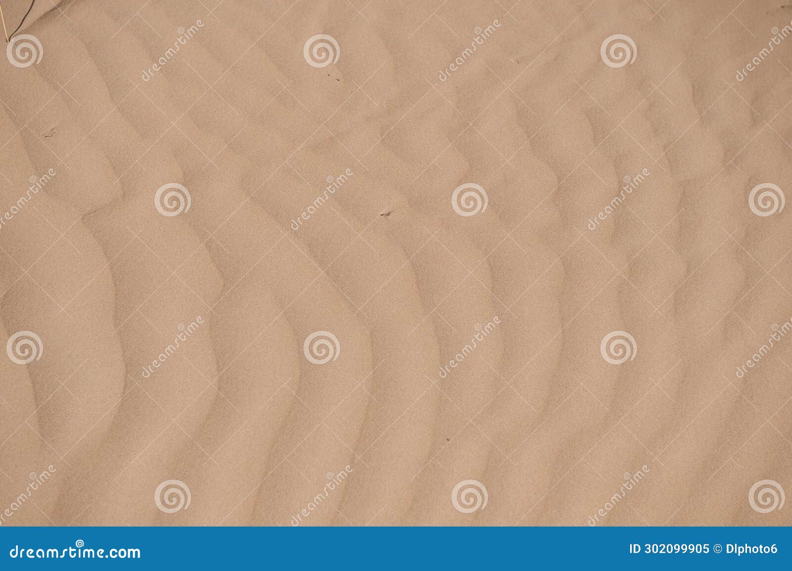 Australian Sandy Beach Texture Stock Image - Image of tranquil, coastal ...