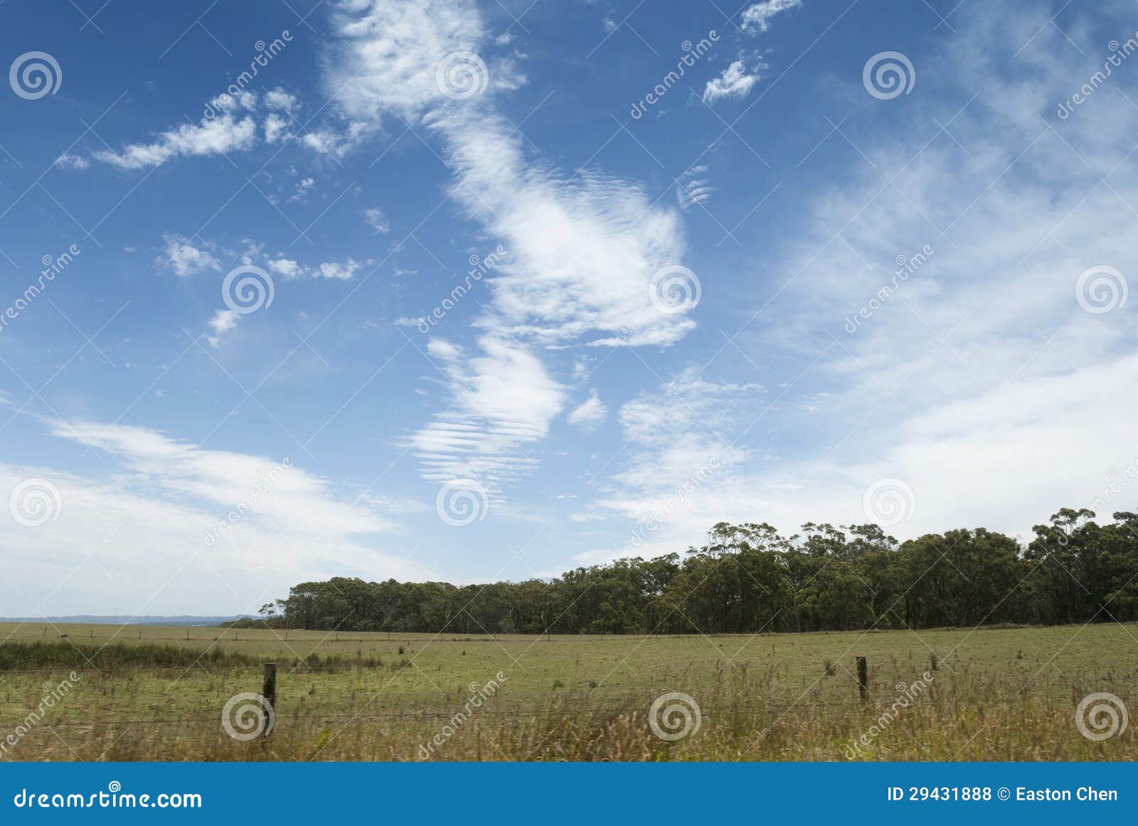 Australian scenery stock photo. Image of grassland, outdoor - 29431888