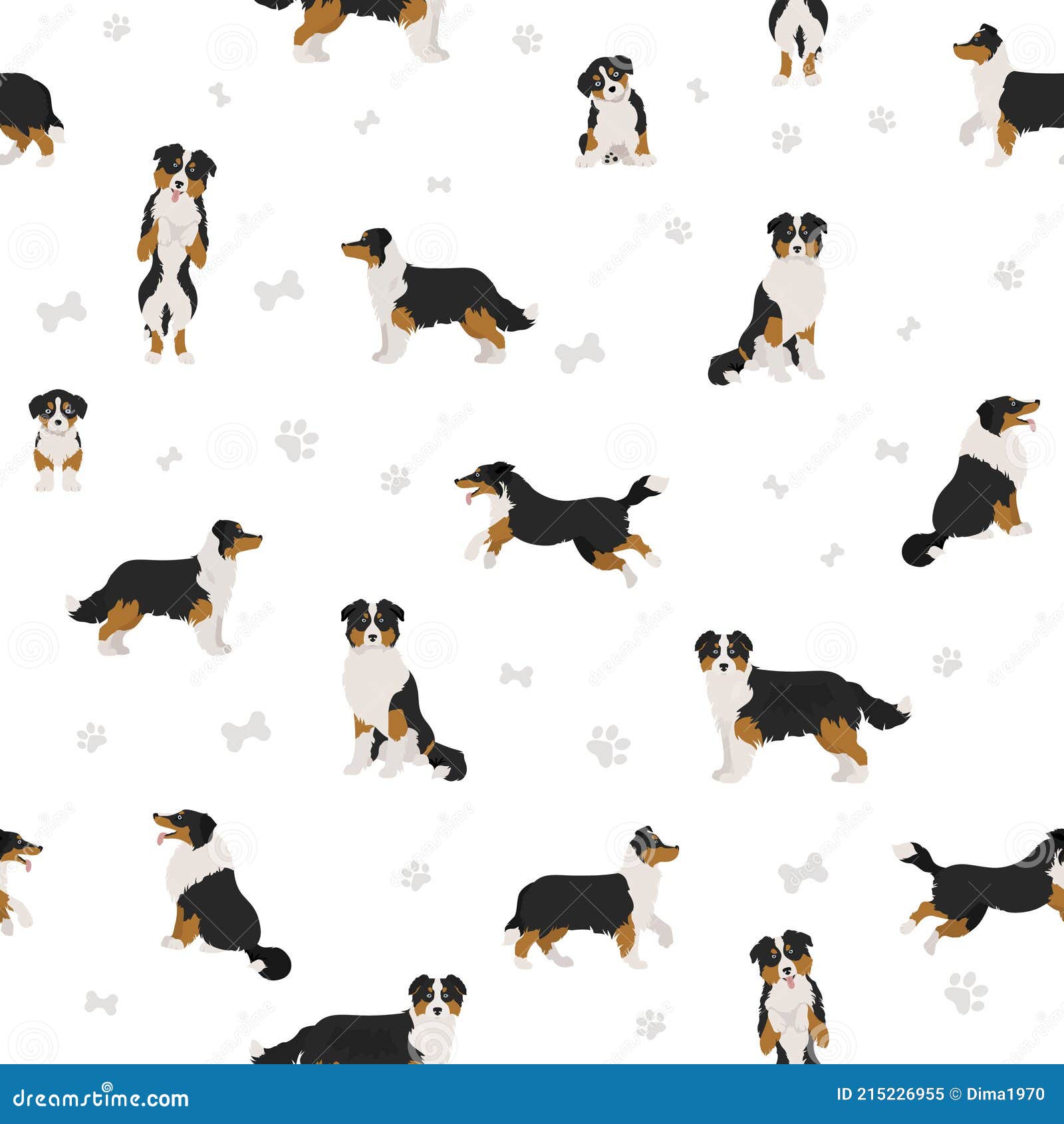 Australian Shepherd Dog Seamless Pattern. Different Variations of Coat ...