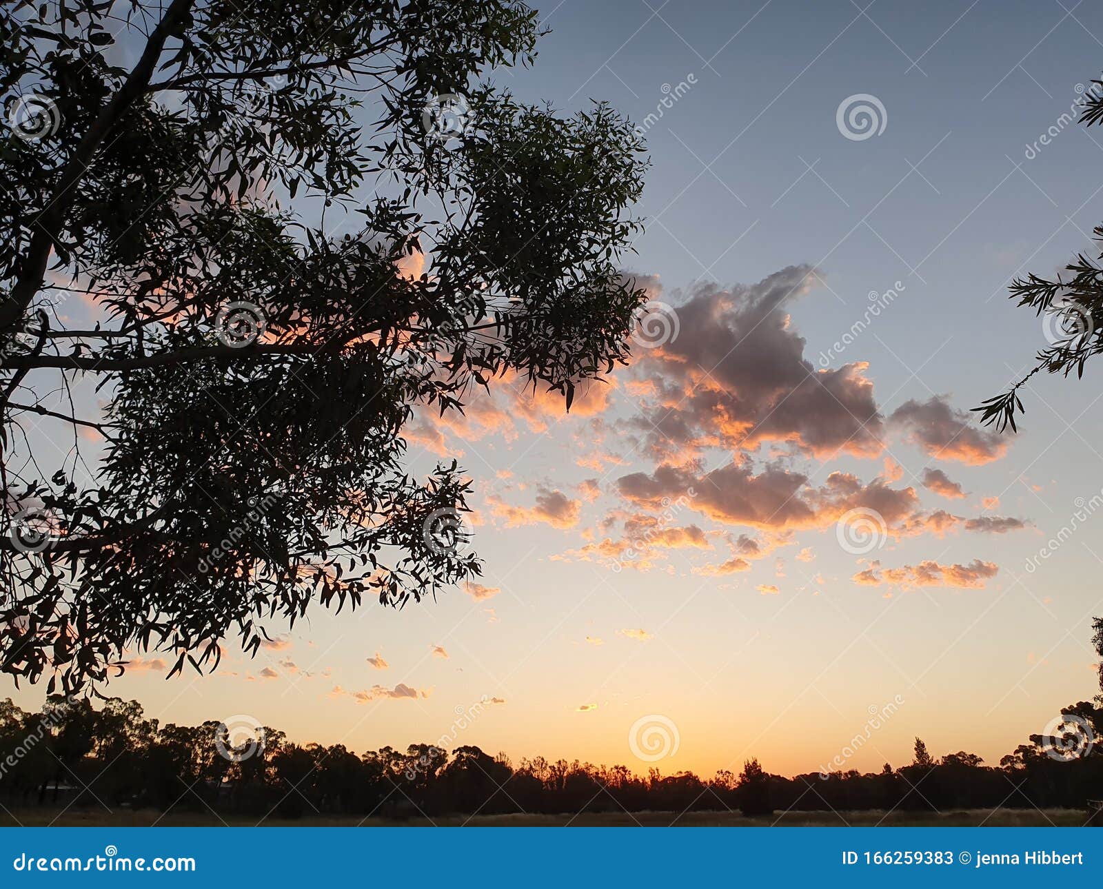 The Australian Colours Of Nature Royalty-Free Stock Photo ...