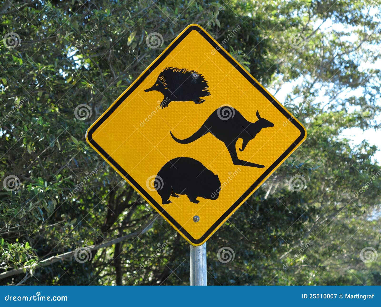 Unique Australian Wildlife Road Sign Of Koala Stock Image ...