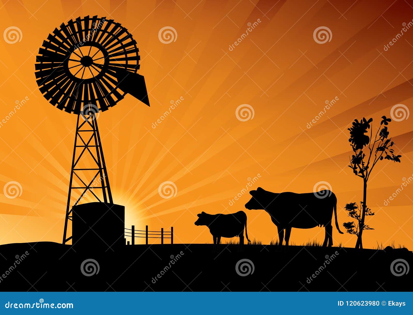 Australian Windmill and Cows in the Outback of Australia Stock ...