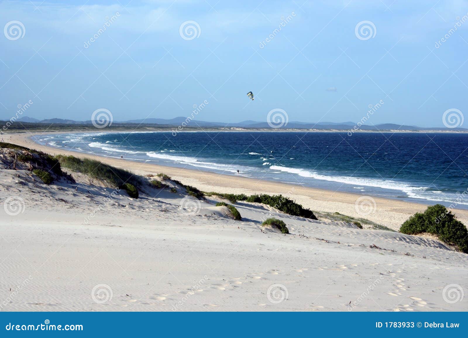 Australian Windswept Beach stock image. Image of relaxing - 1783933
