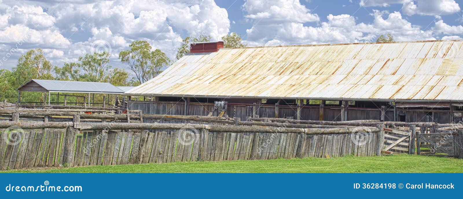 An Australian Woolshed stock photo. Image of farmer, barn - 36284198