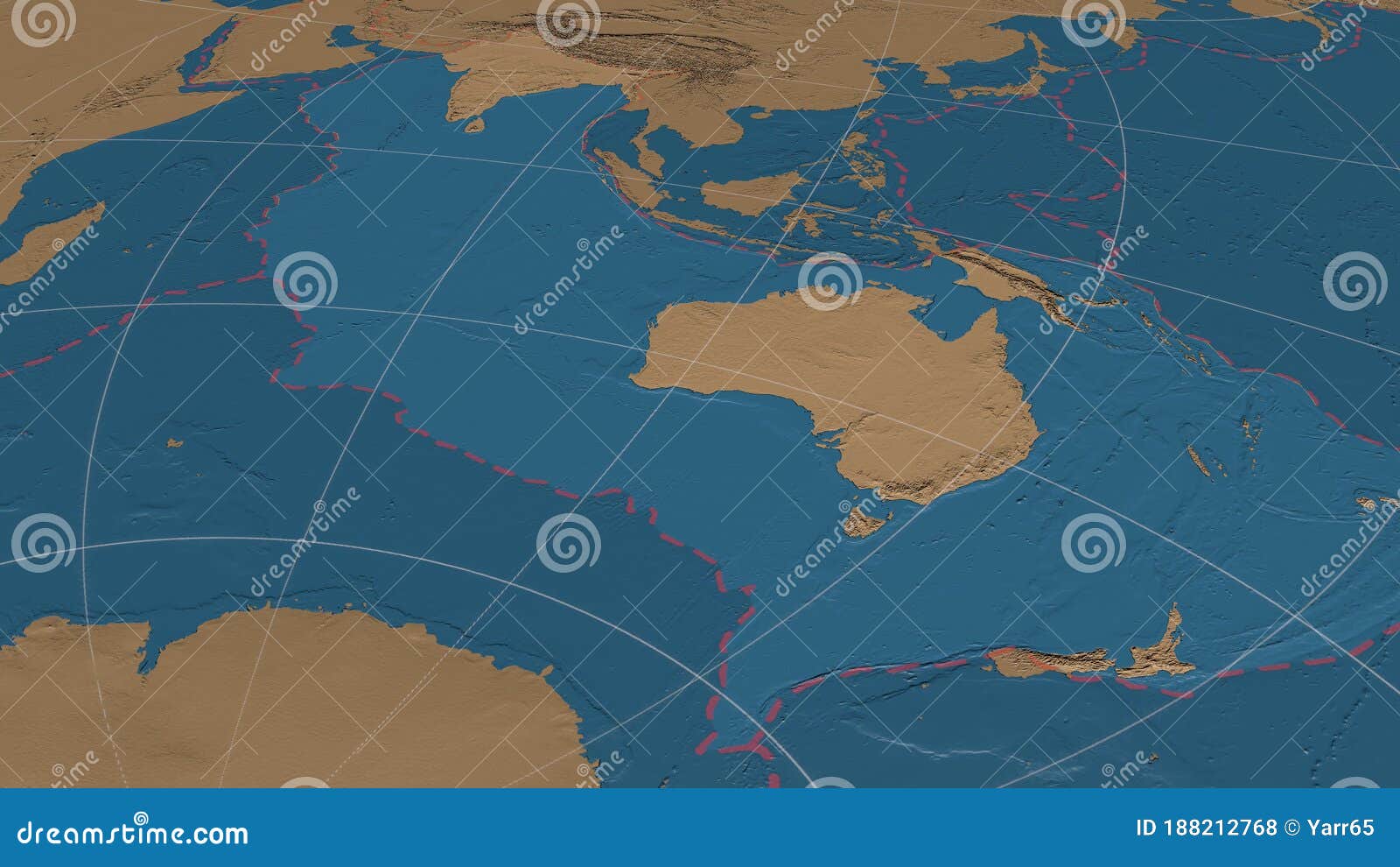 Australiann Plate Enlarged and Outlined - Grayscale Stock Illustration ...