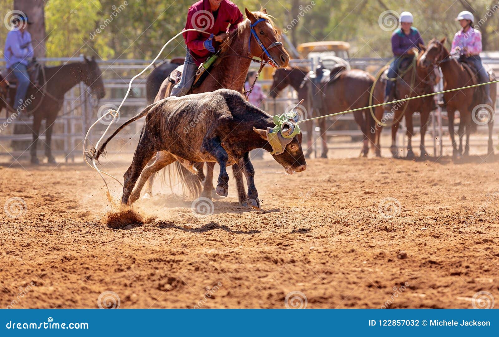 Australiano Team Calf Roping Rodeo Event Fotografia Editorial - Imagem ...