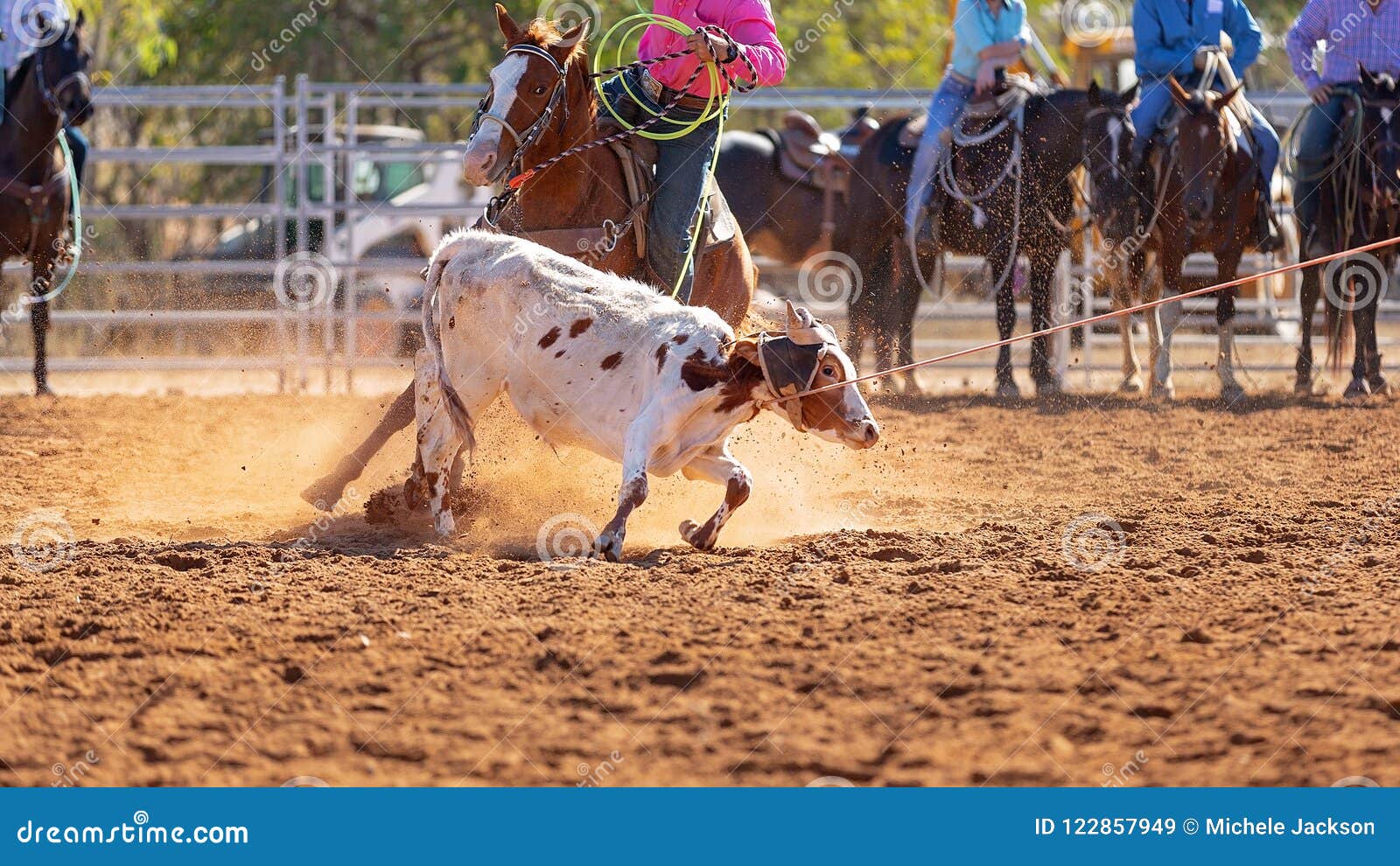 Australiano Team Calf Roping Rodeo Event Imagen de archivo editorial ...