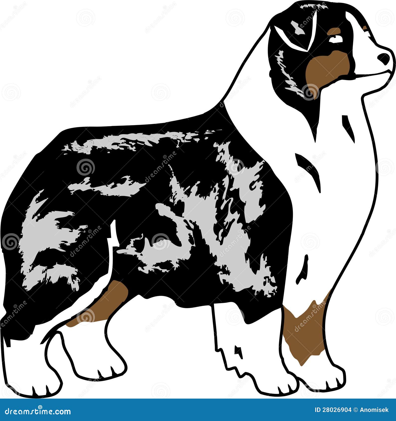 Merle Stock Illustrations, Vectors, & Clipart – (289 Stock Illustrations)