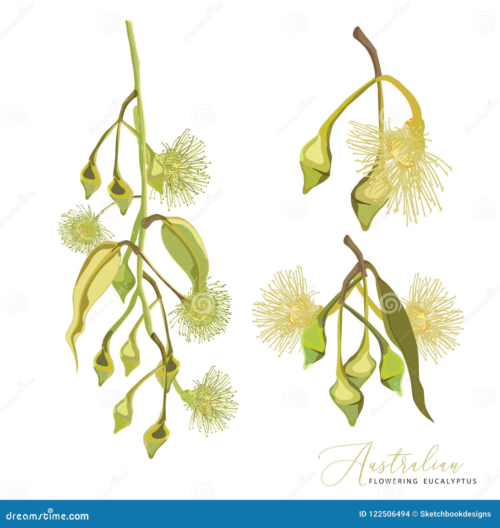 Gumtree Stock Illustrationen, Vektoren, & Kliparts - 253 Stock ...