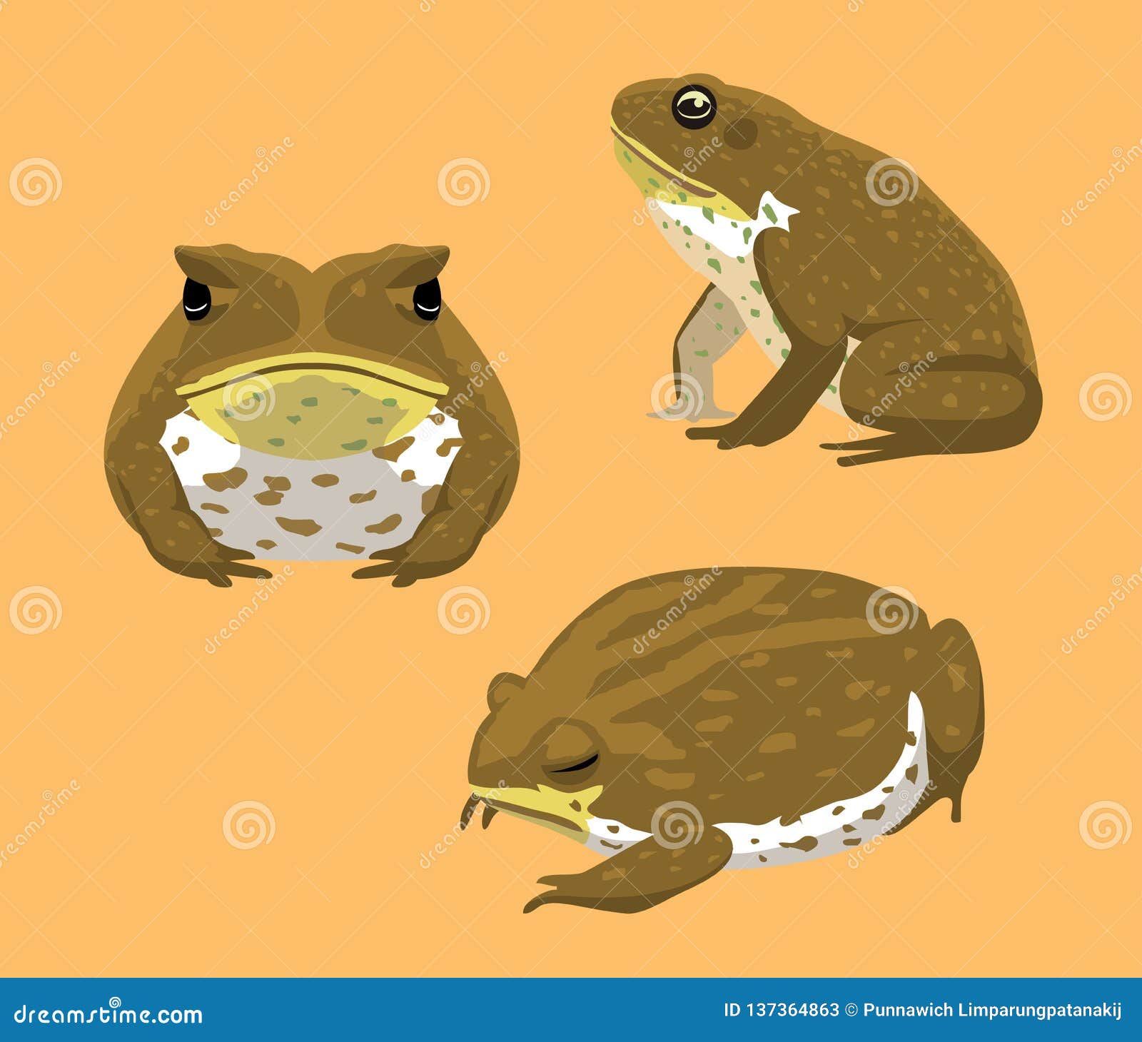 Australiska Djura Cane Toad Cartoon Vector Illustration Vektor Illustrationer - Illustration av ...