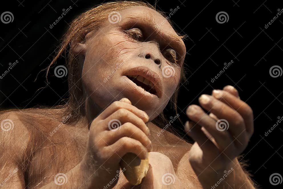Australopithecus afarensis editorial photo. Image of evolution - 120911811