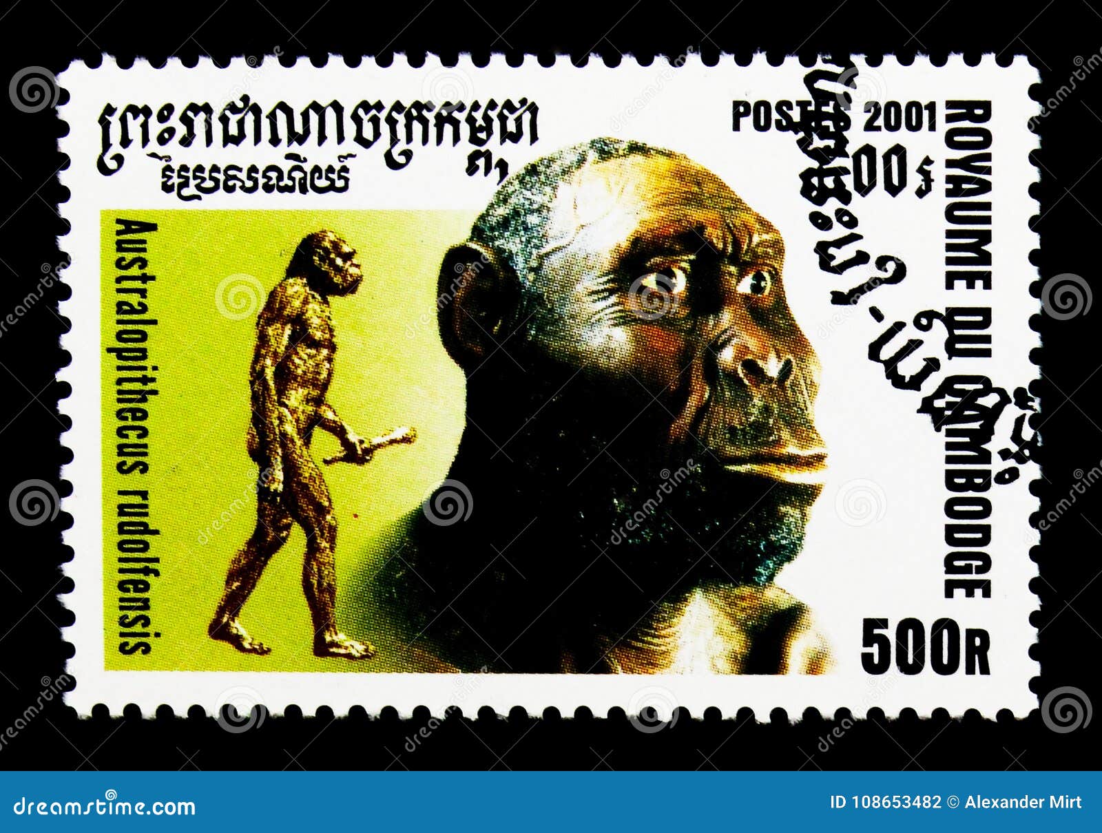 Australopithecus Rudolfensis, Evolution of Mankind Serie, Circa 2001 ...