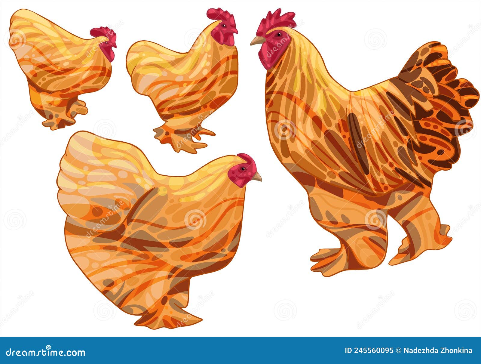 Buff cochin stock vector. Illustration of cochin, crested - 245560095