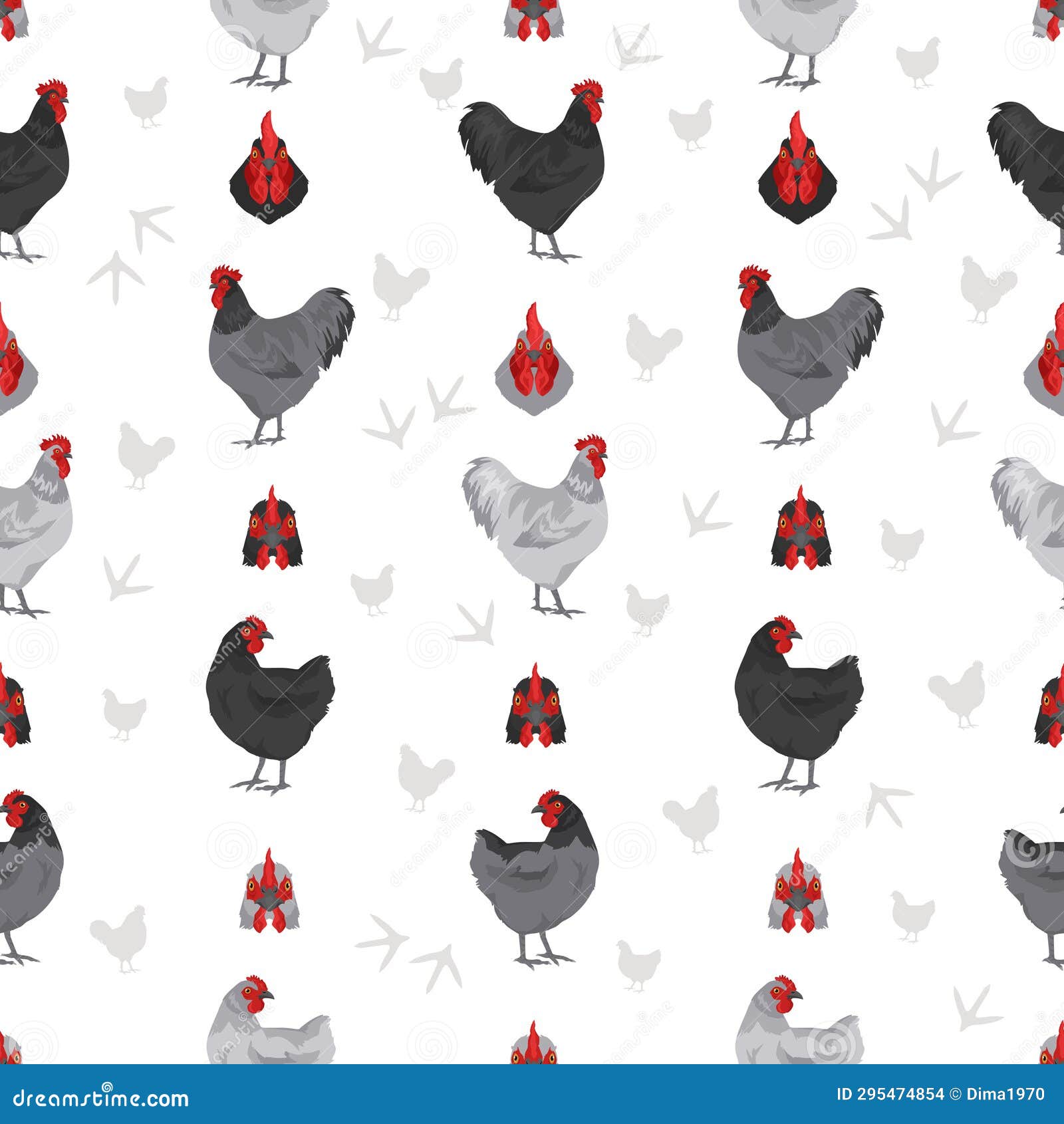 Australorp Chicken Breeds Seamless Pattern. Poultry and Farm Animals ...