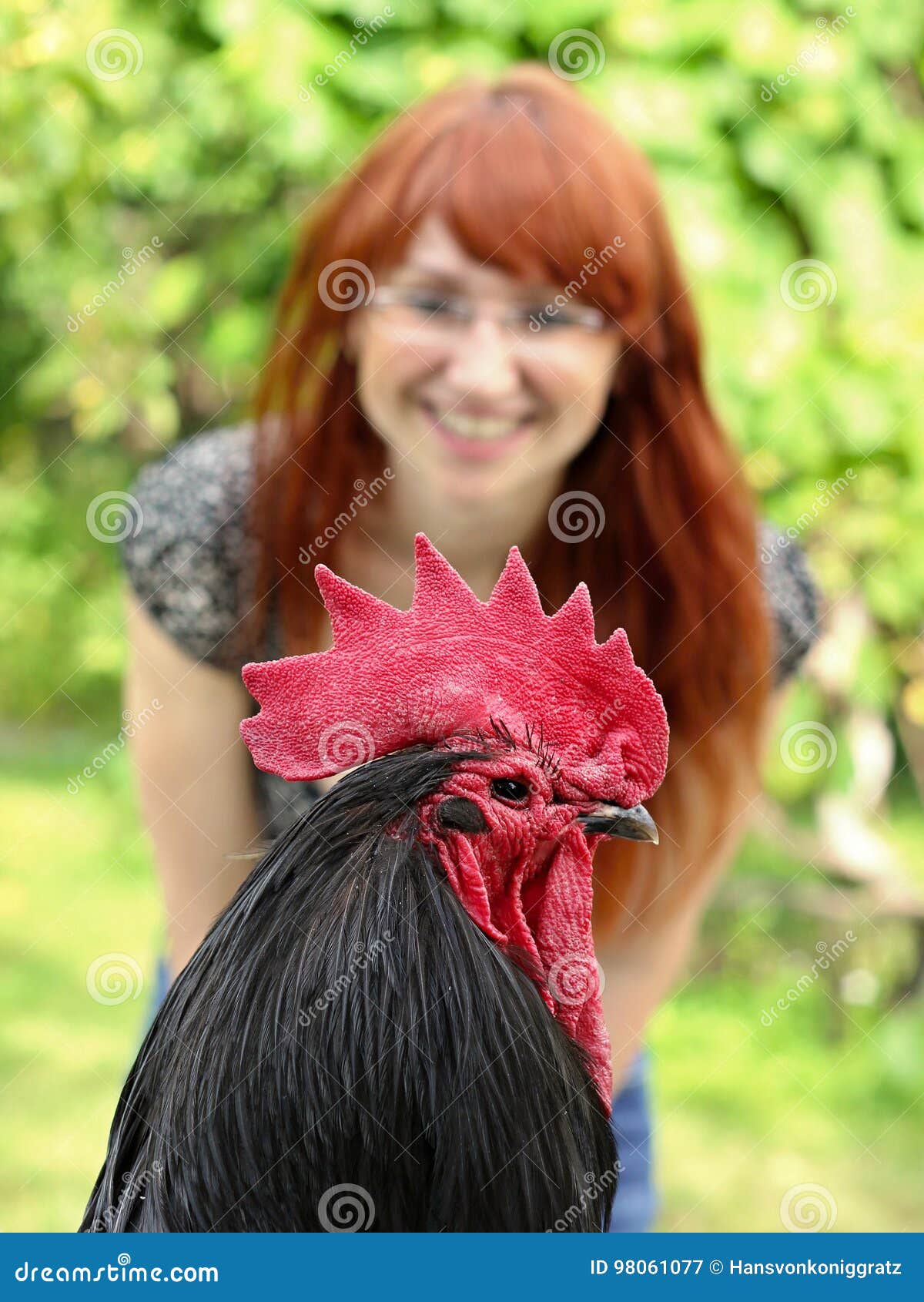 Australorp Rooster with Girl Stock Image - Image of woman, orpington ...