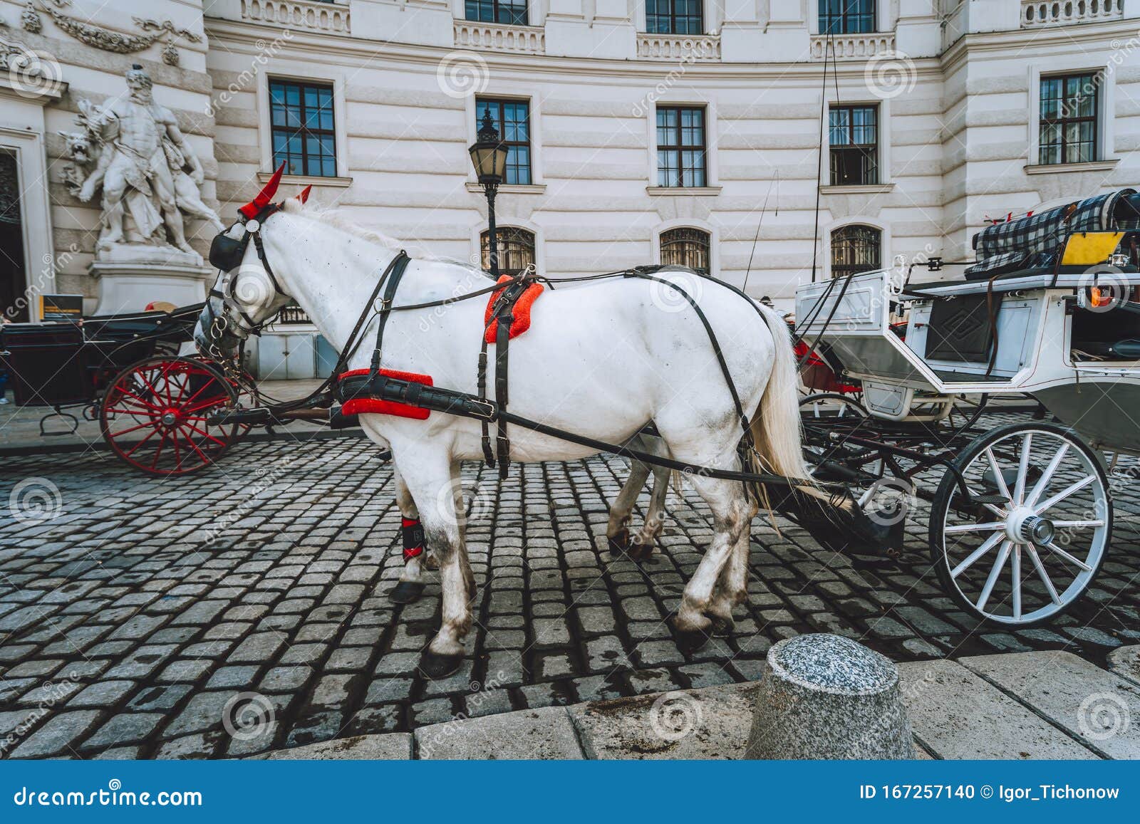 Austria Beautiful Horses with Equipage on the Streets of Vienna Stock ...