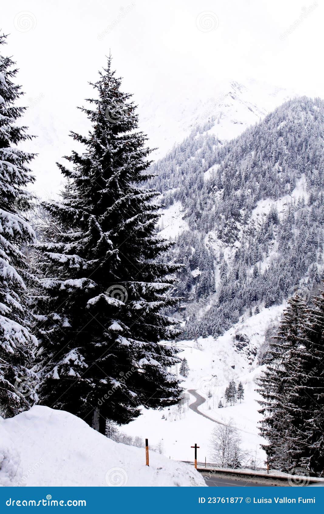 Austria, Snowing on the Pass Thurn Route Stock Image - Image of scenery ...