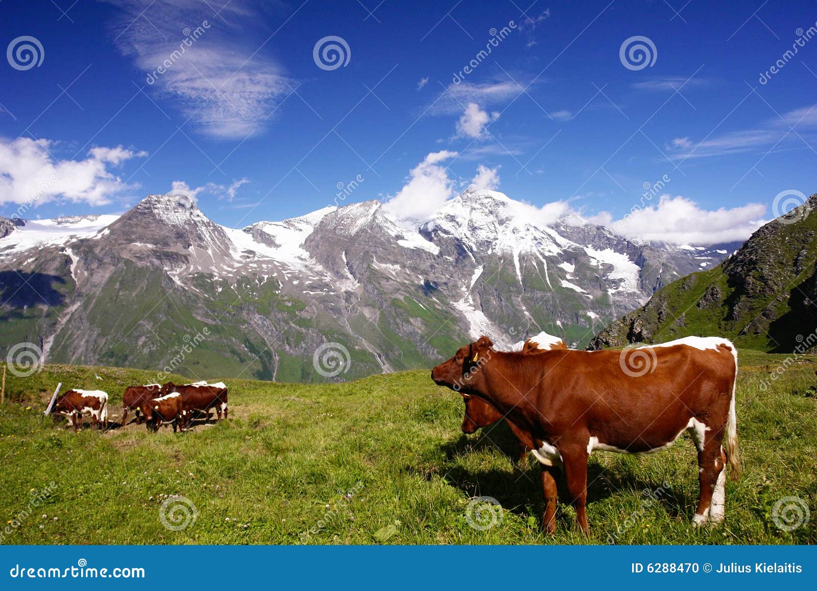 Austrian Alps stock photo. Image of scene, farm, nature - 6288470