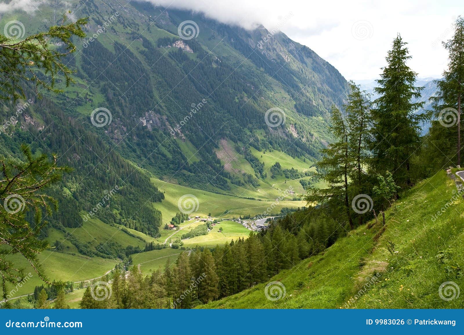 Austrian Alps in summer stock photo. Image of hill, tree - 9983026