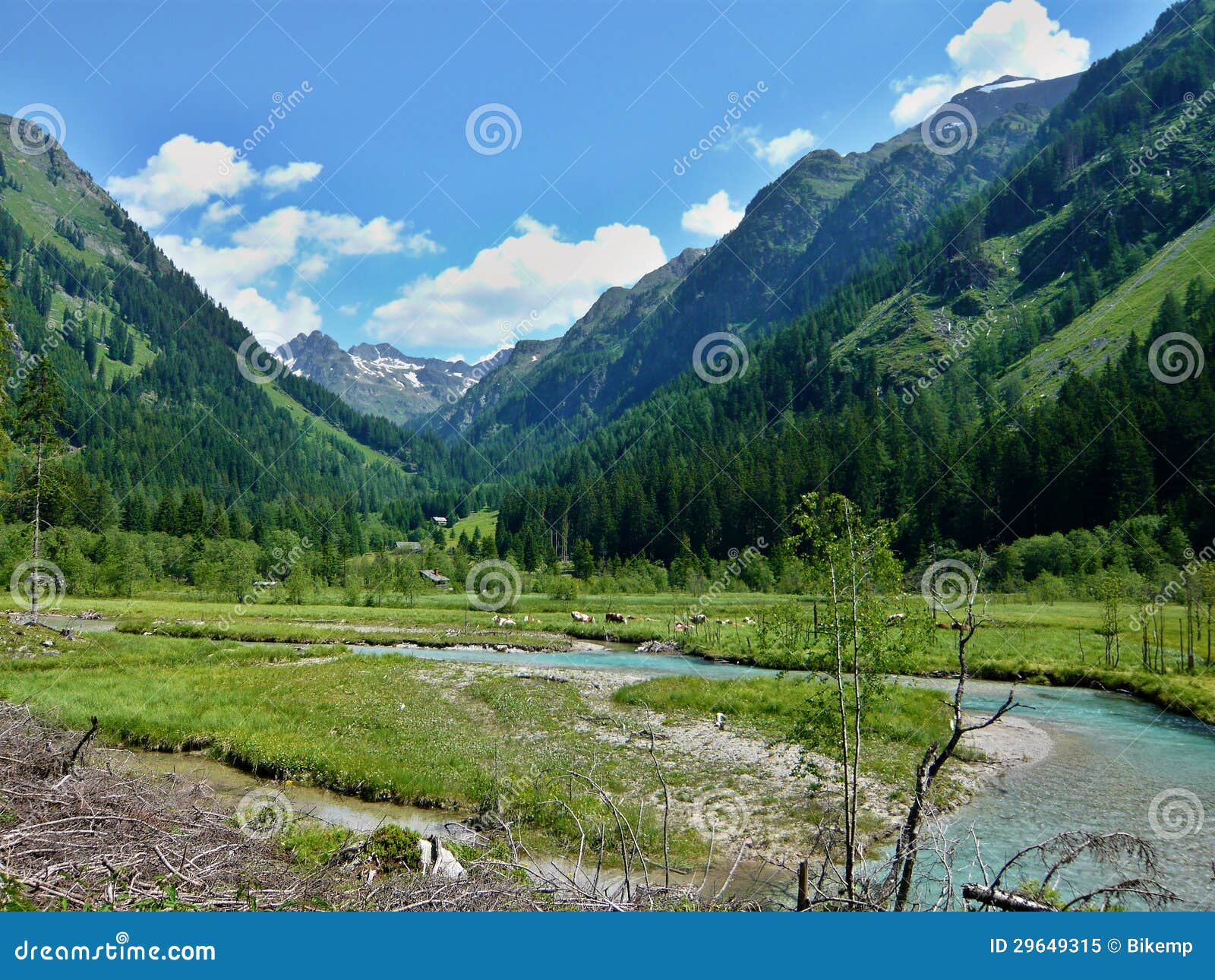 Austrian Alps-valley Weisspriachtal Stock Image - Image of grass, view ...