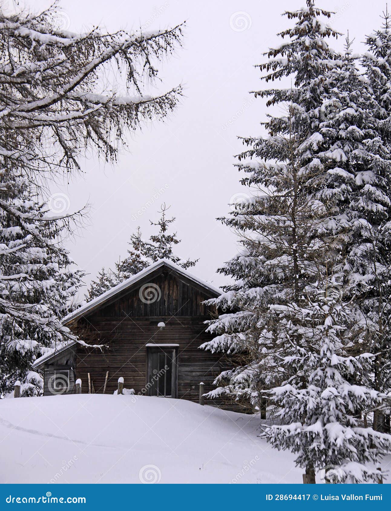 Austrian Alps, Wood Cabin in Winter with Snow Stock Image - Image of ...
