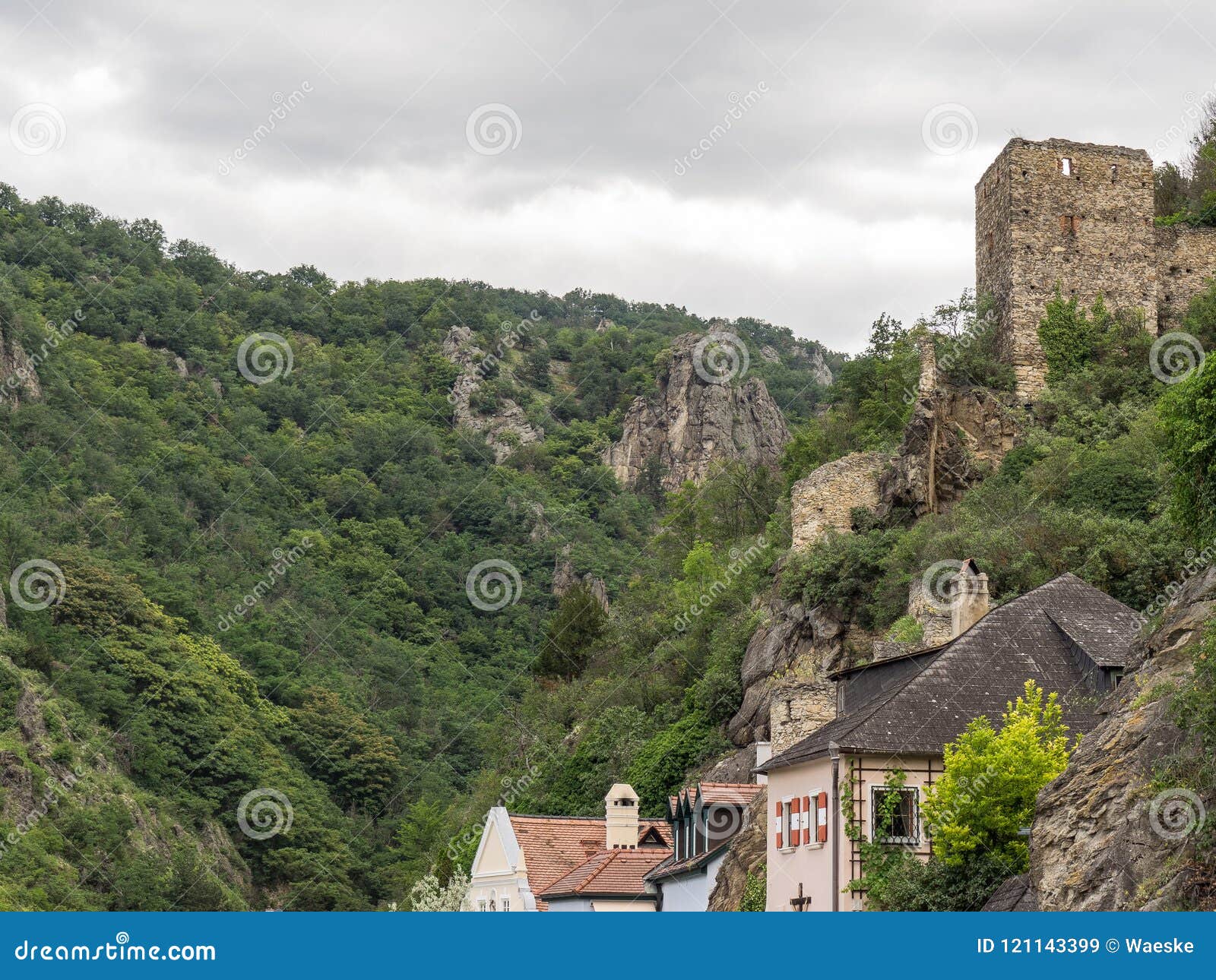 In the Austrian Danube Valley Stock Image - Image of valley, green ...