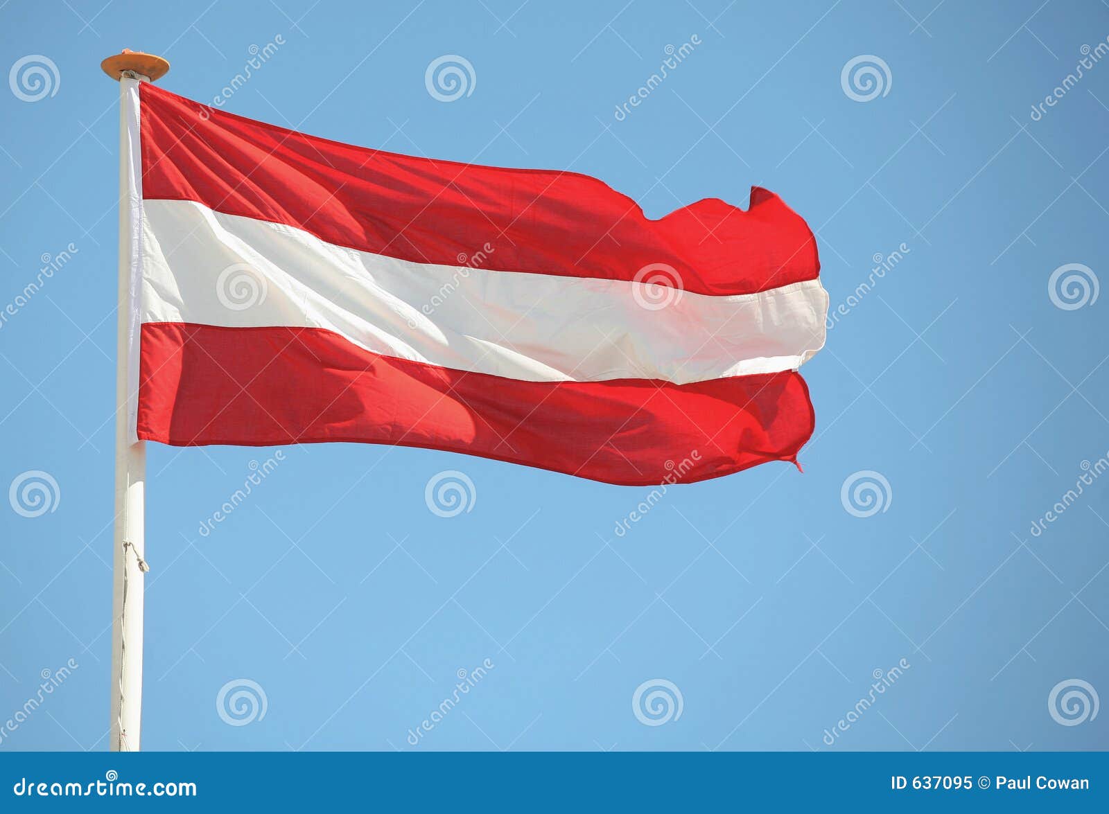 Austrian flag stock image. Image of national, vienna, union - 637095