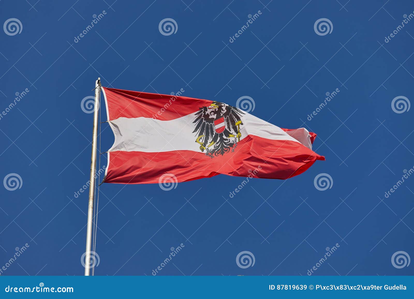 Austrian Flag Royalty-Free Stock Photography | CartoonDealer.com #43306499
