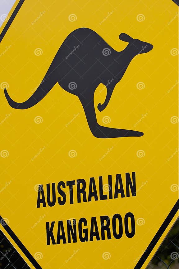 Austrian kangaroo stock image. Image of wild, traffic - 10871927