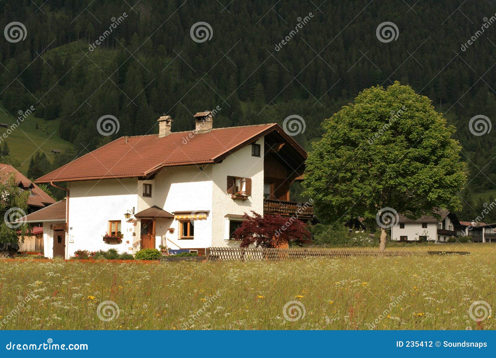Austrian Mountain Chalet House Stock Photo - Image of trees, mountain ...