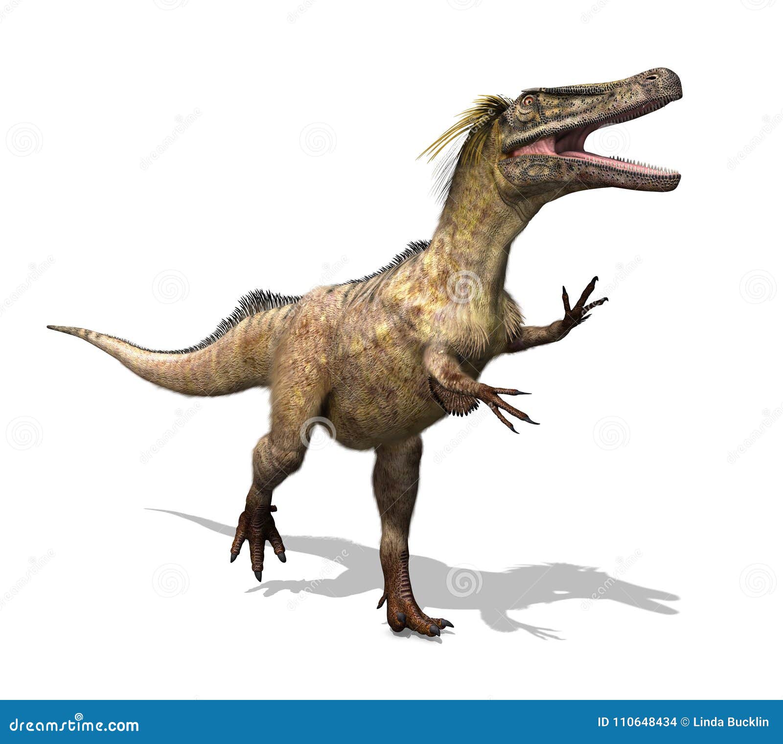 Austroraptor Dinosaur stock illustration. Illustration of render ...