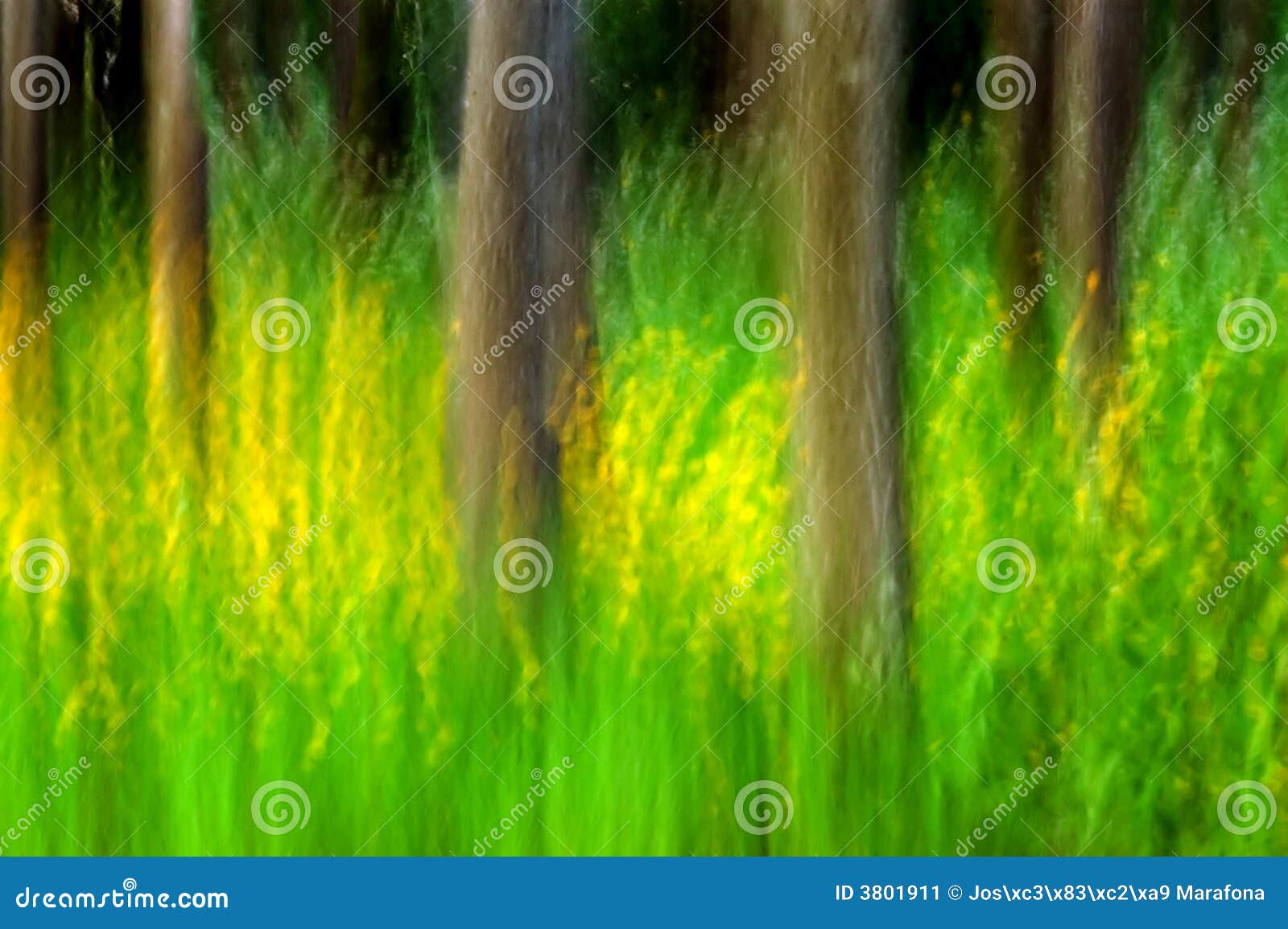 Auszug stockbild. Bild von vermindert, unschärfe, kabel - 3801911