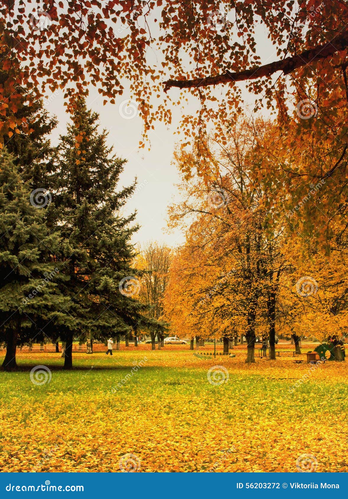 Autamn trees stock photo. Image of flora, haystack, botanical - 56203272