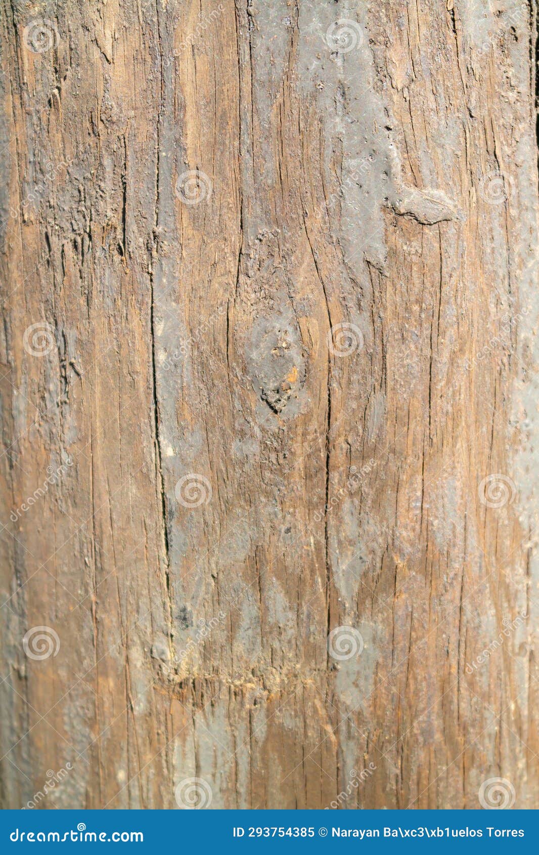 Authentic Aged Wood Texture Background, Wood Background Concept Stock ...