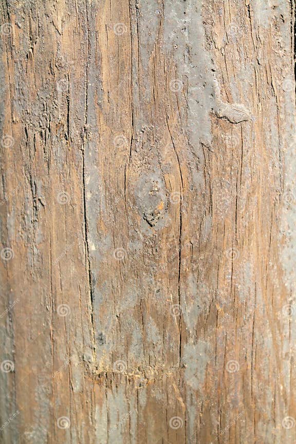 Authentic Aged Wood Texture Background, Wood Background Concept Stock ...