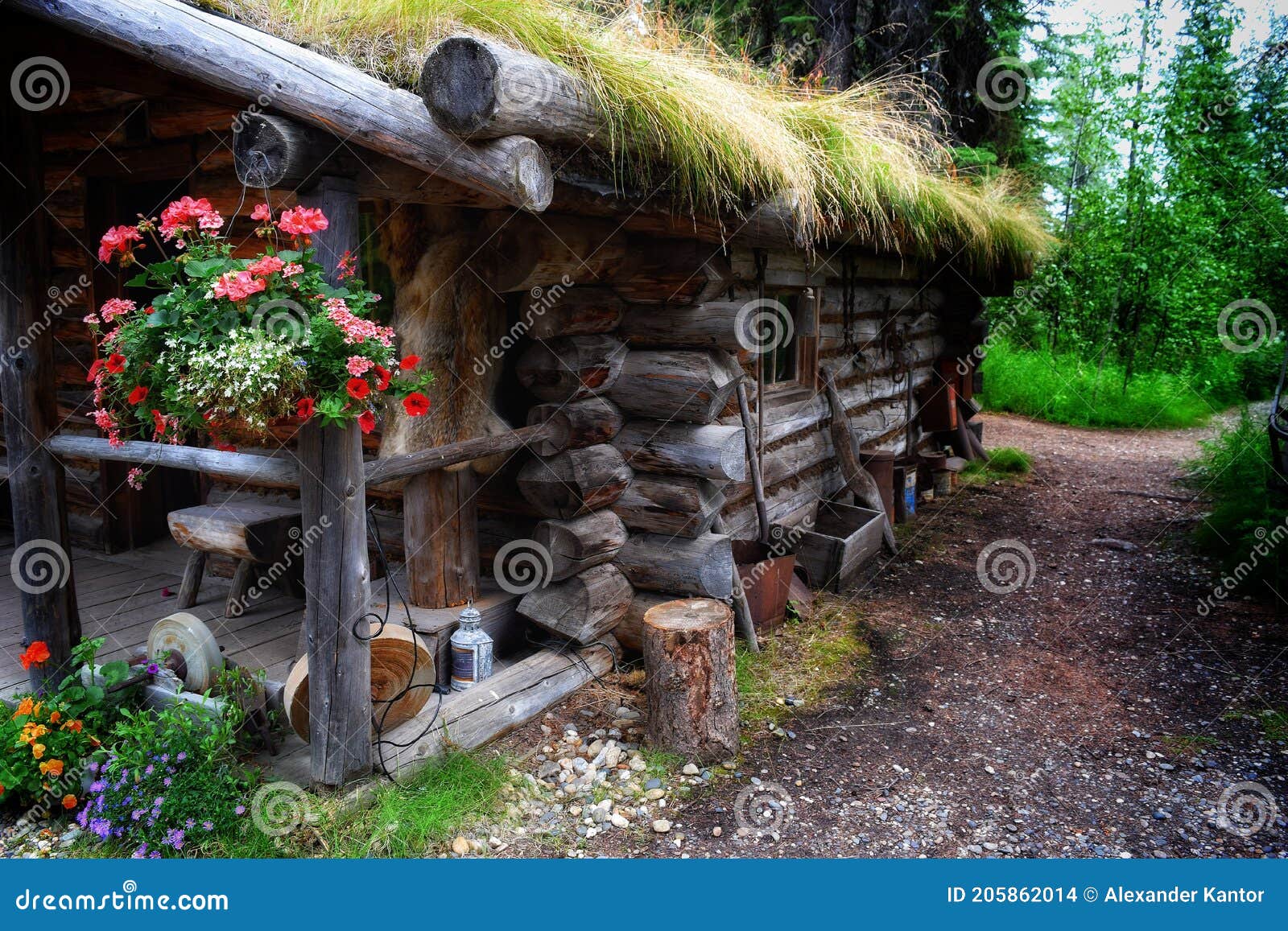 Authentic Alaskan Log Cabin Stock Photo - Image of shrine, cottage ...