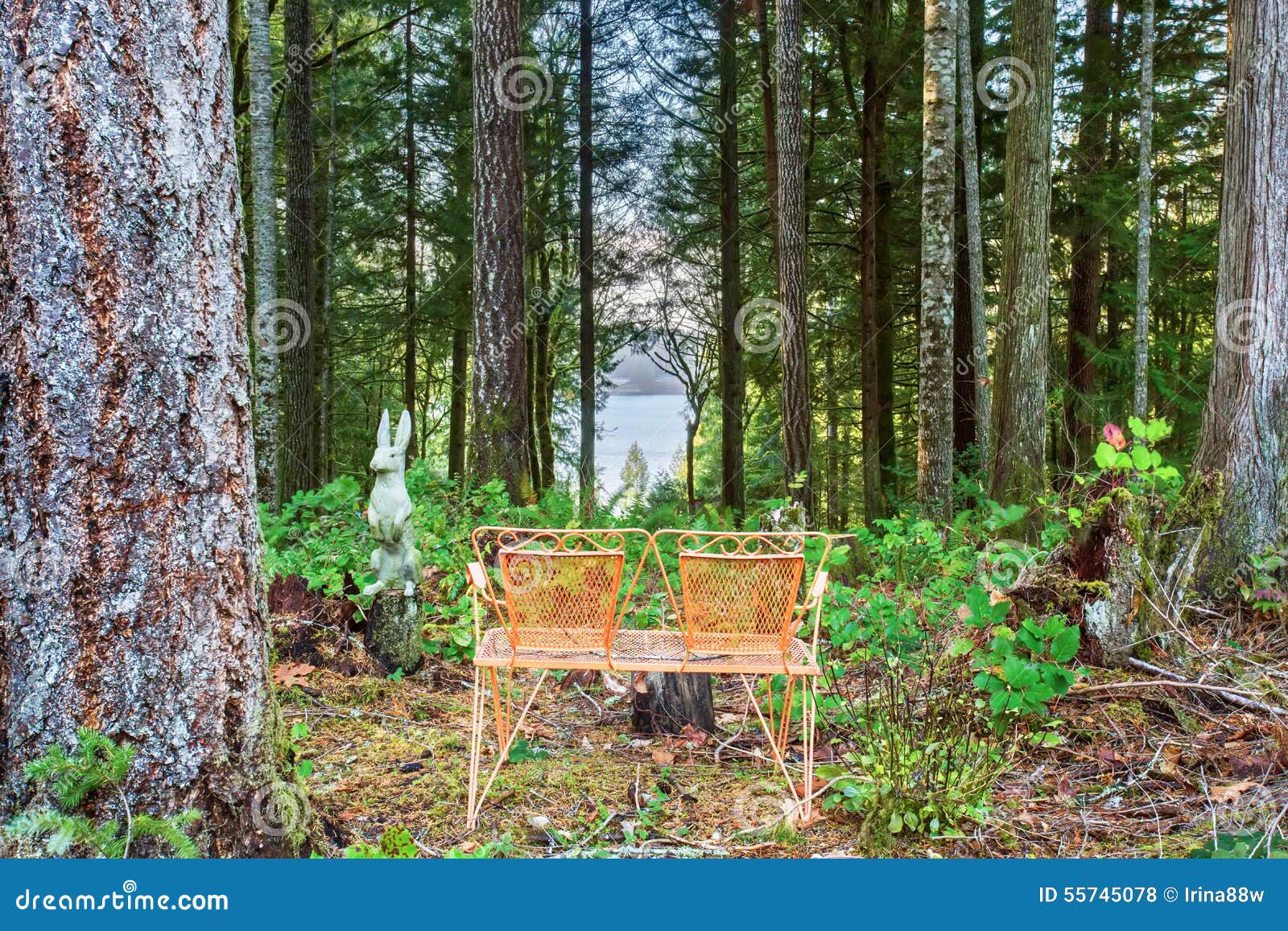 Authentic Bench Overlooking Lake. Stock Photo - Image of forest ...