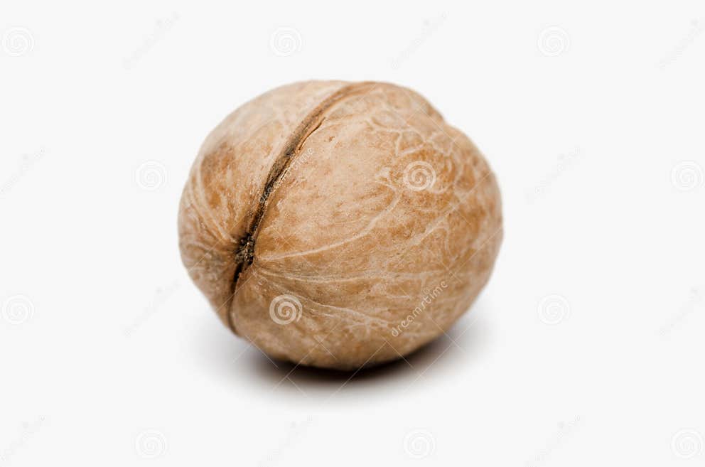 Authentic California Walnut Akhrot in Shell Isolated on White ...