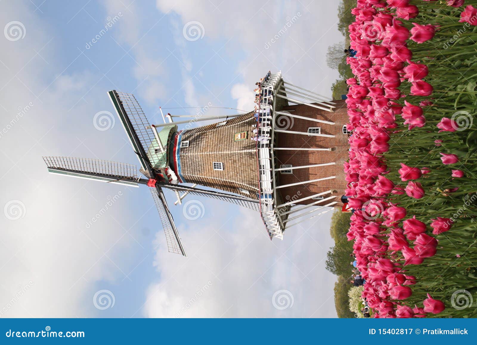 Authentic Dutch Windmill stock image. Image of holland - 15402817