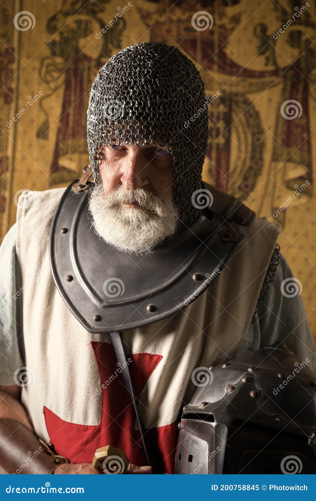 Knight Crusader Royalty-Free Stock Photography | CartoonDealer.com ...