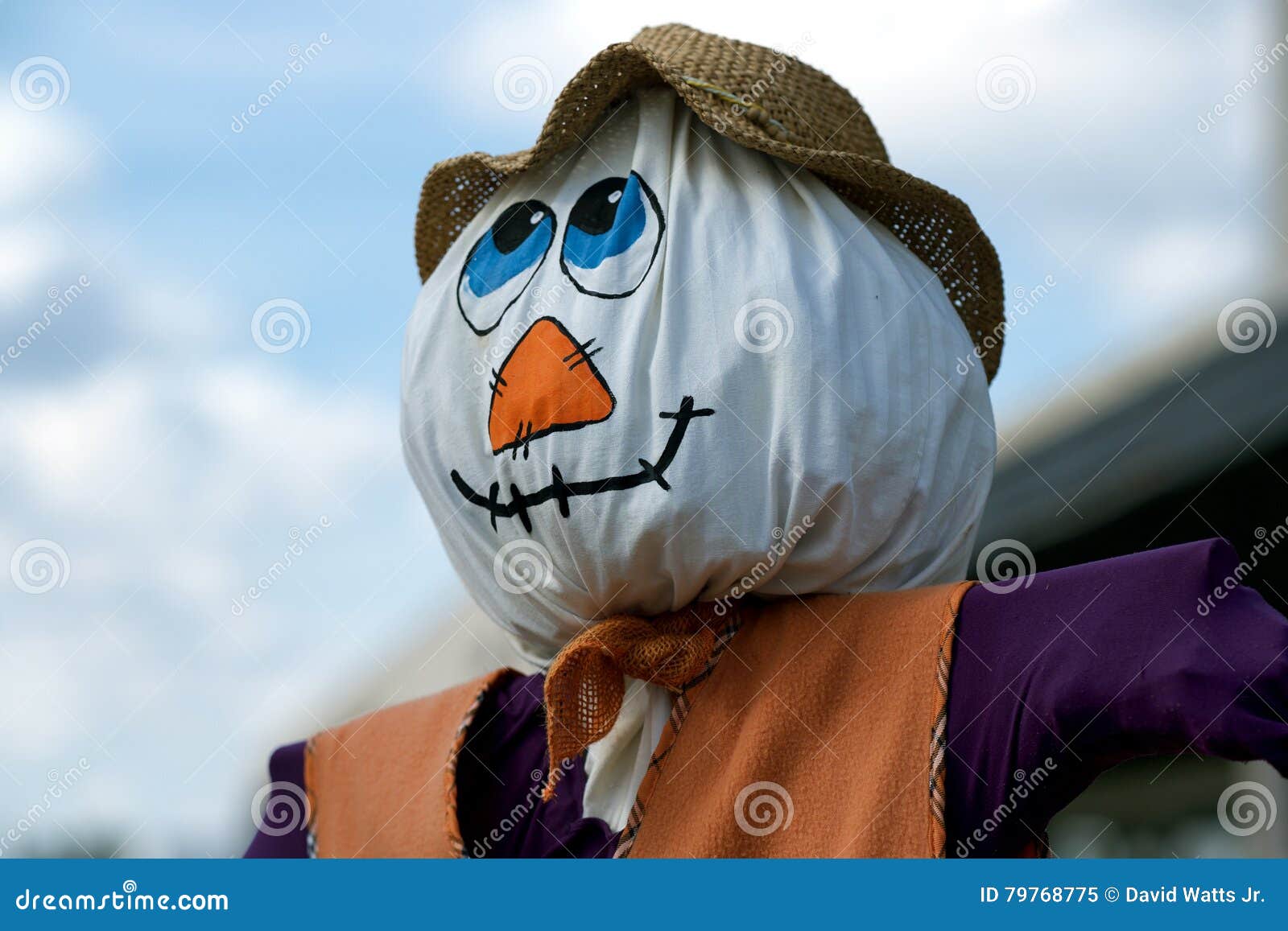 Authentic Scarecrow stock image. Image of birds, scarecrow - 79768775