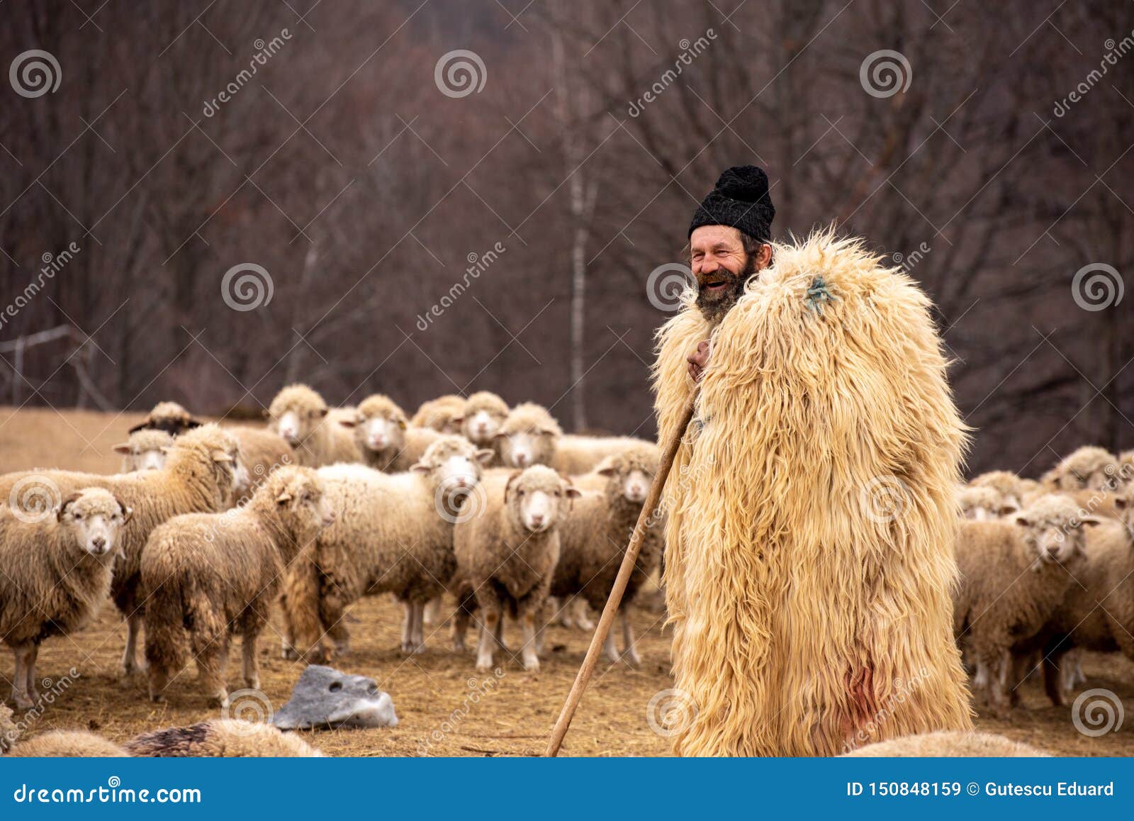 Authentic Shepherd from Romania in the Carpathian Mountains Editorial ...