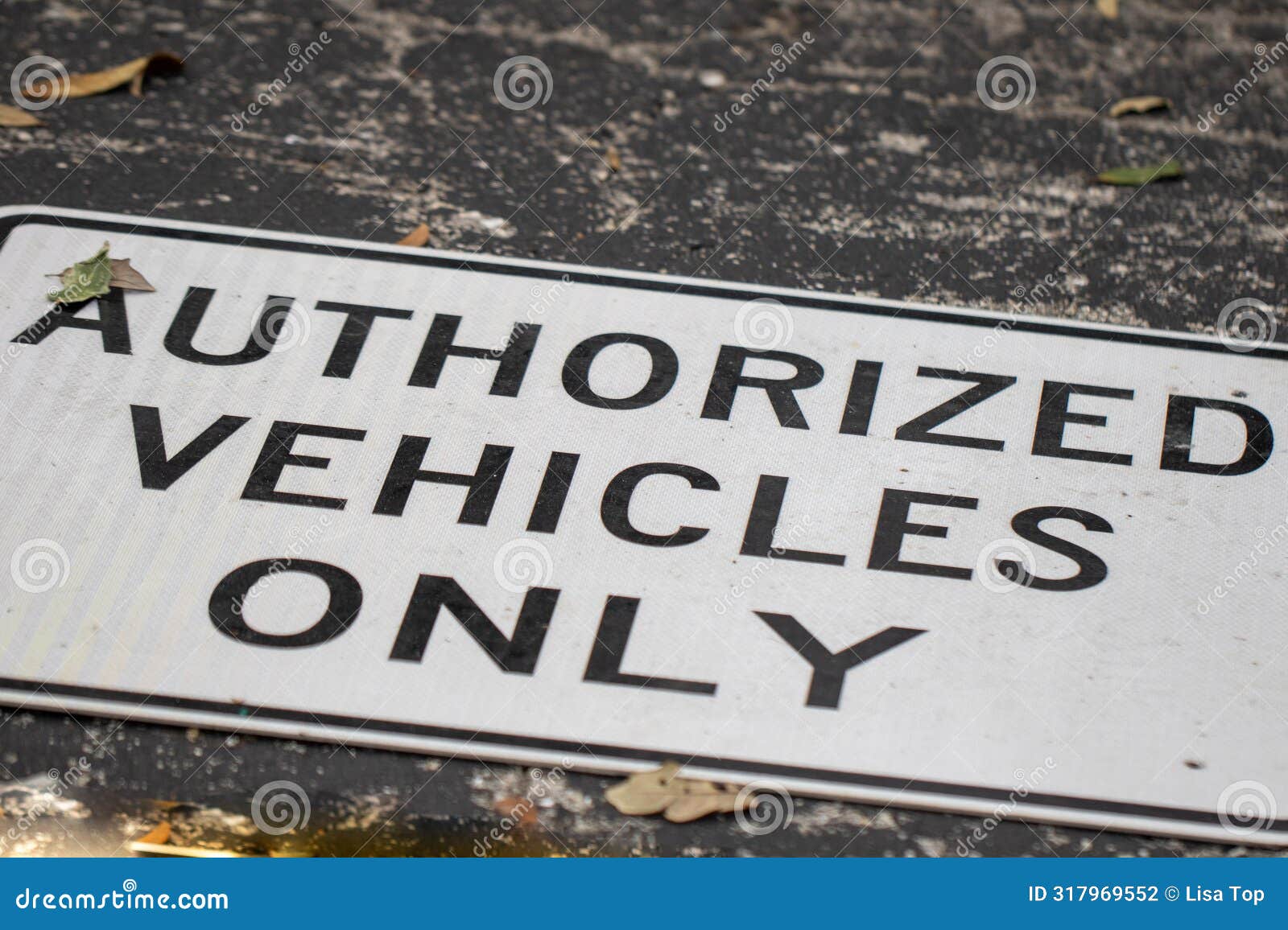 Authorized Vehicles only stock photo. Image of guidance - 317969552