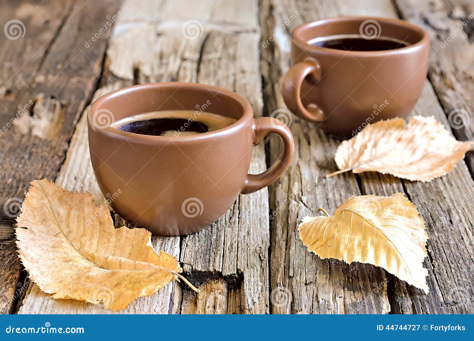 Fall Coffee Photography