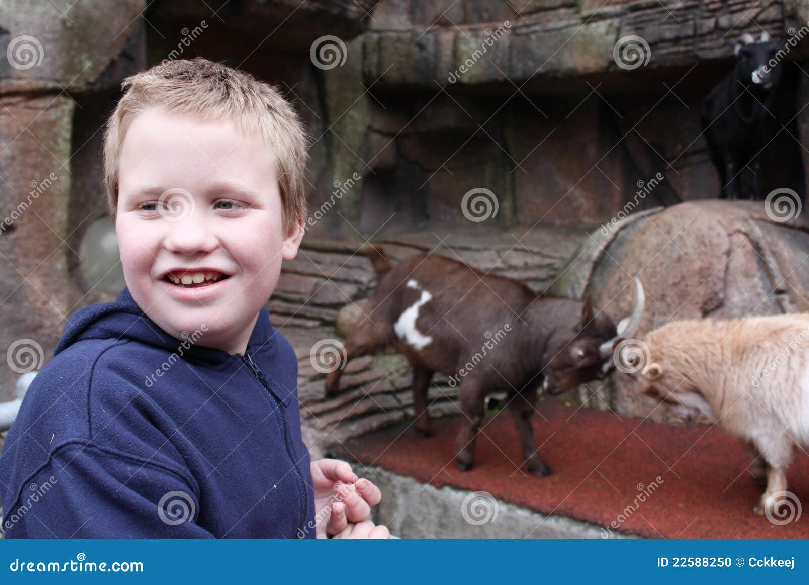 Autistic Boy at the Petting Zoo Stock Photo - Image of goat, goats ...