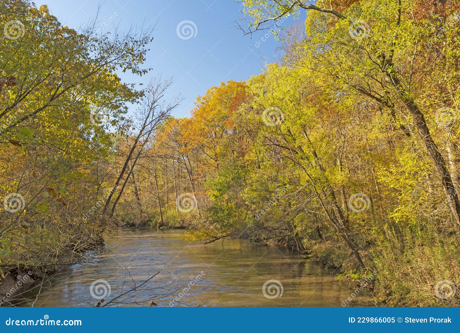 Autmn Colors Along the Cache River Stock Image - Image of leaf ...
