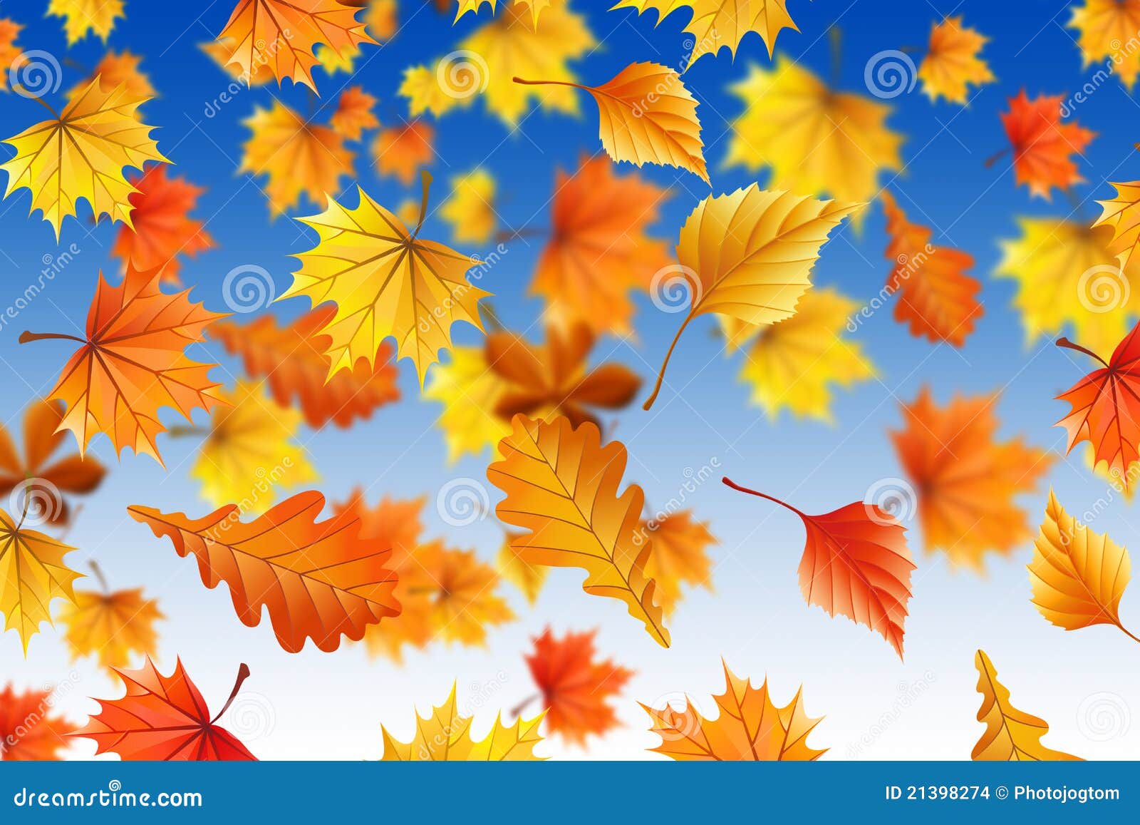 Autmn leaves stock illustration. Illustration of maple - 21398274