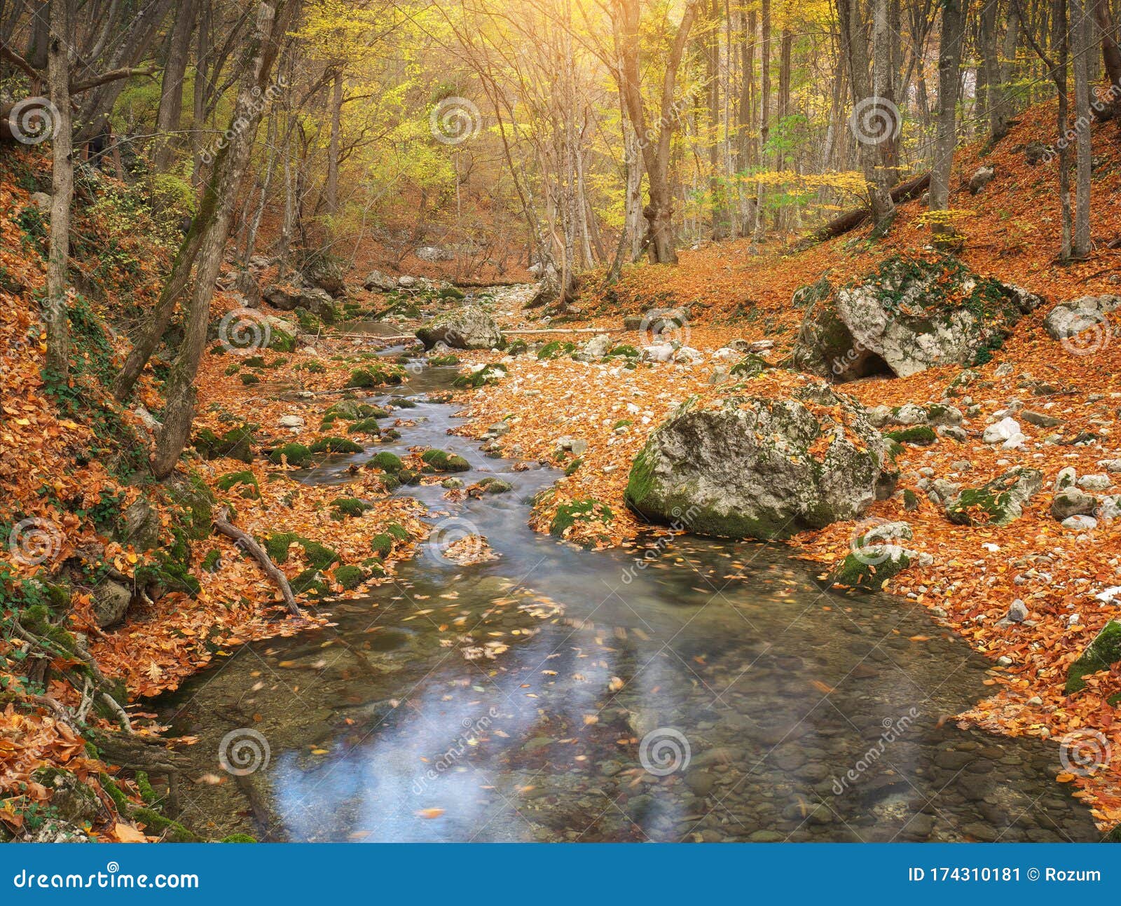 Autmn rill flow stock image. Image of light, leaf, fresh - 174310181