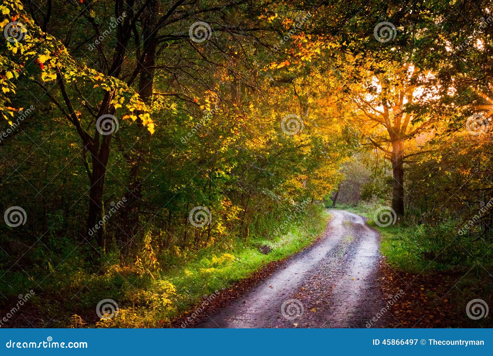 Autmumn road stock image. Image of landscape, relax, bright - 45866497