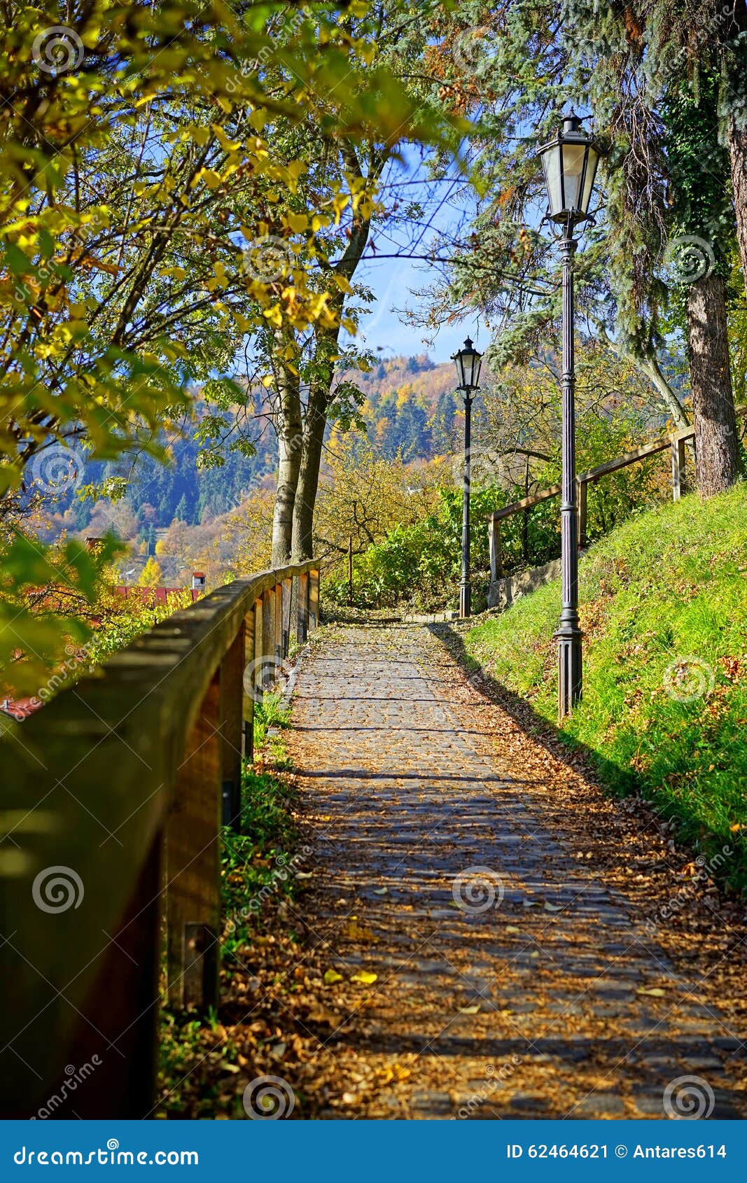 Autumn path stock image. Image of lamp, sunset, beautiful - 62464621